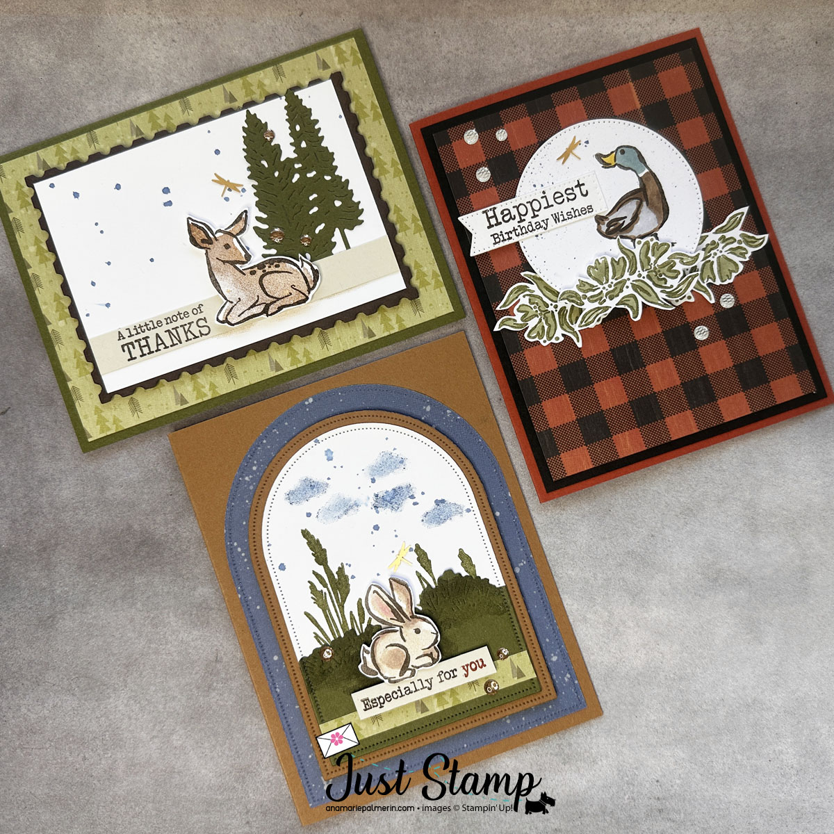 3 Easy Notes of Spring Card Ideas for Beginners